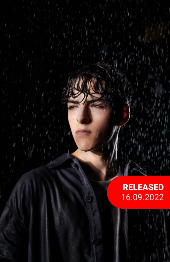 Support ARRIE and Get Your Share in "Wonderful Life"